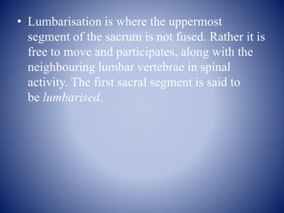 lumbarisation.pptx