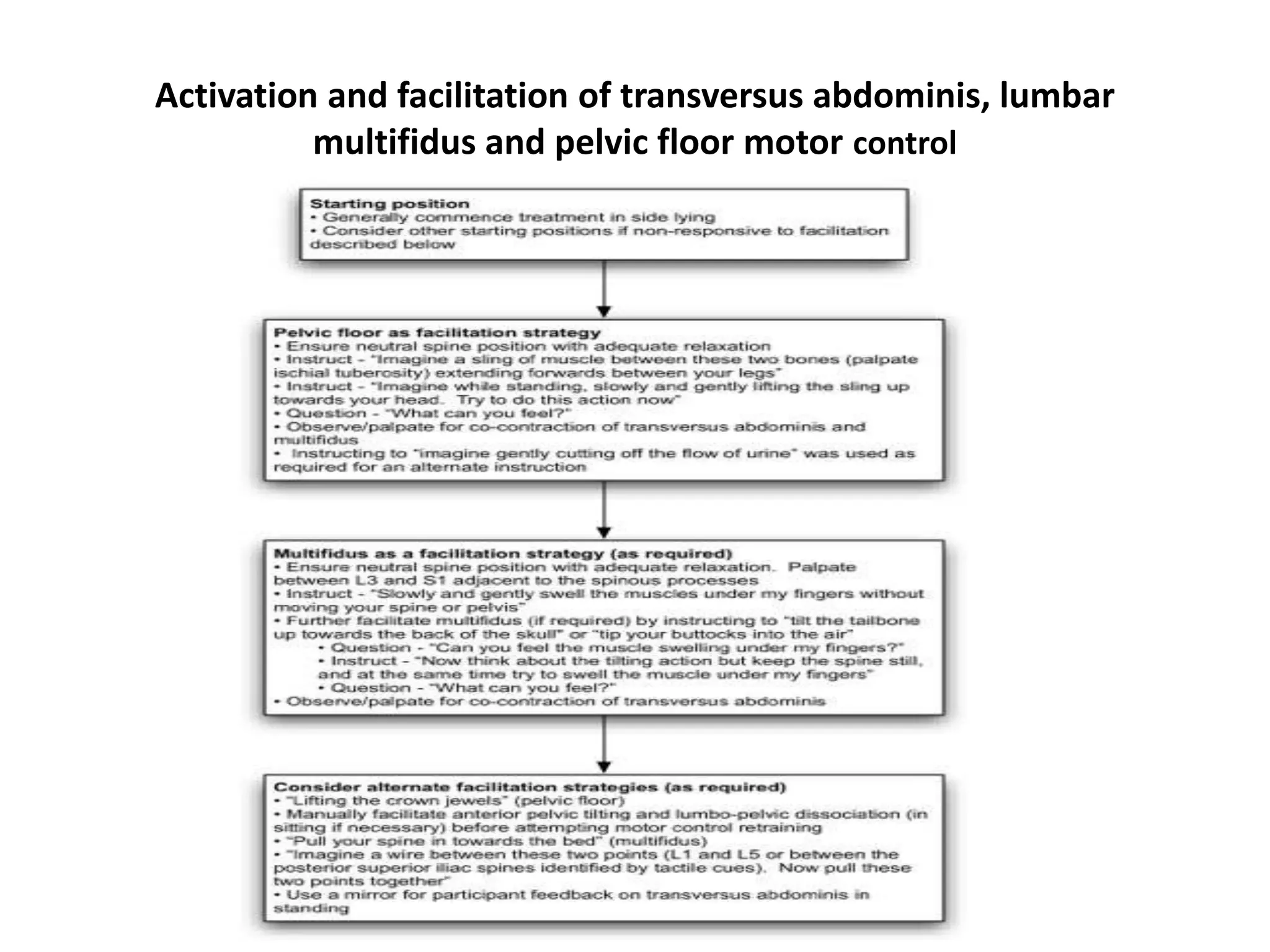 Lumbar Motor Control Training.pptx