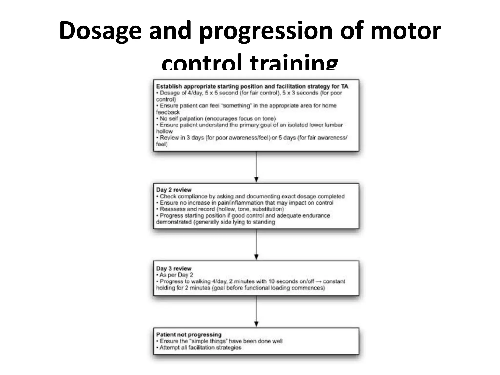 Lumbar Motor Control Training.pptx