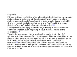 Lumbar Motor Control Training.pptx