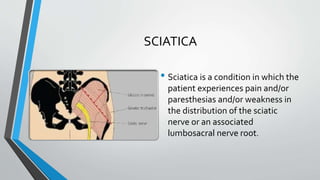 Lumbar Pathologies.pptx