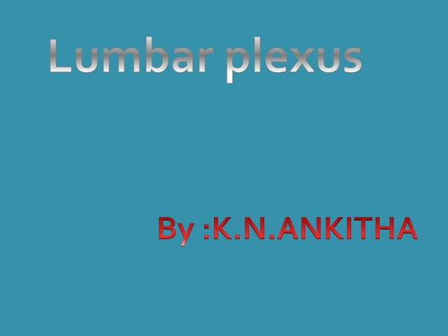 Lumbar plexus | PPT