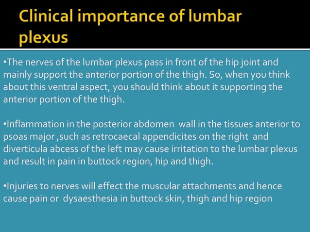 Lumbar plexus | PPT