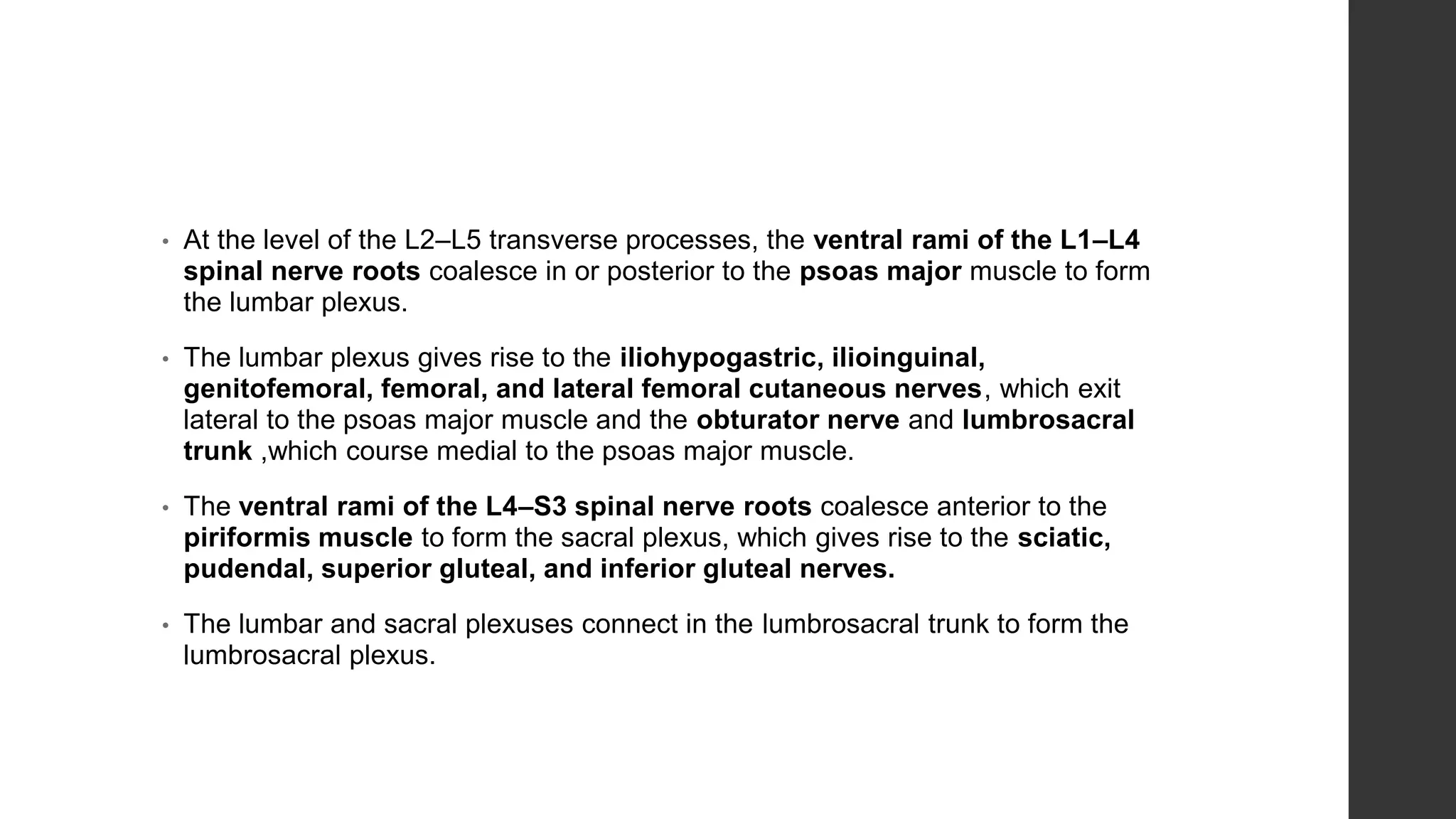 LUMBAR PLEXUS.pptx