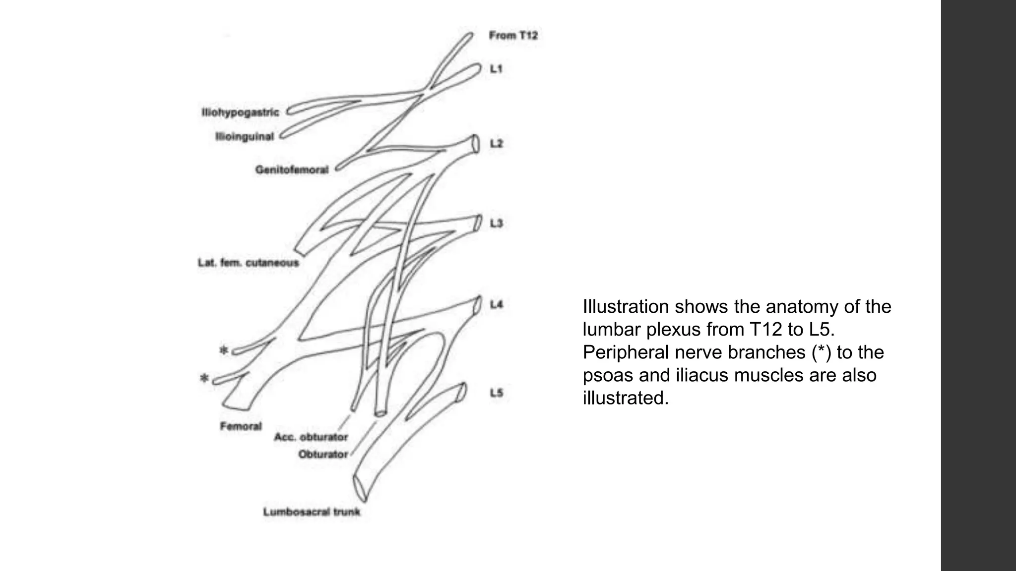 LUMBAR PLEXUS.pptx