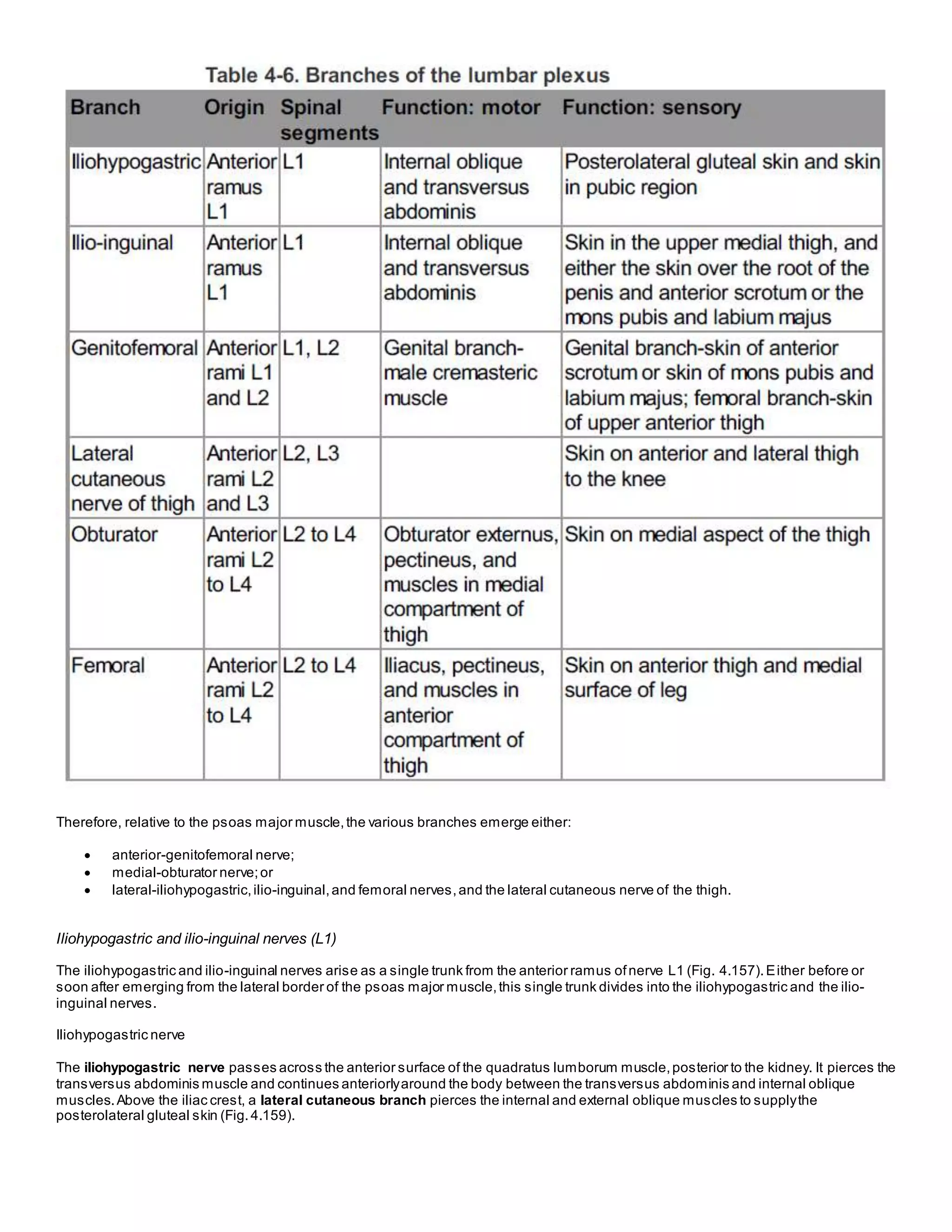 Lumbar plexus (grays anatomy) | DOCX