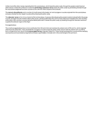 Lumbar plexus (grays anatomy) | DOCX