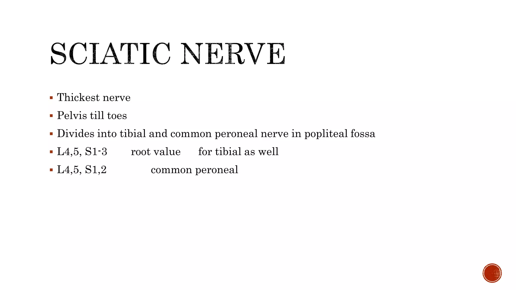 Lumbar plexus plexopathy.pptx