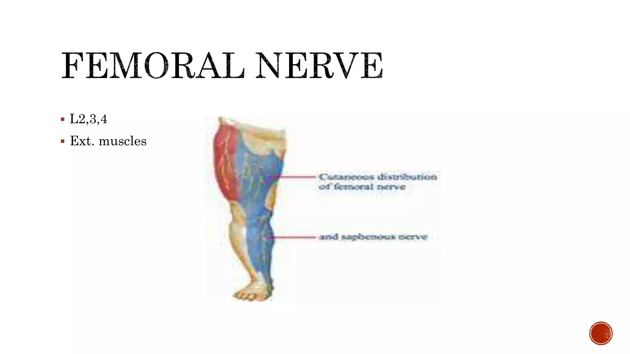 Lumbar plexus plexopathy.pptx