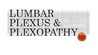Lumbar plexus plexopathy.pptx