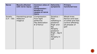 Lumbar plexus plexopathy.pptx