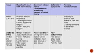 Lumbar plexus plexopathy.pptx