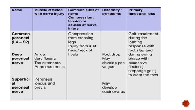Lumbar plexus plexopathy.pptx