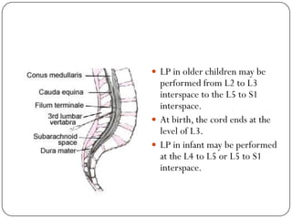 Lumbar puncture and bone marrow aspiration | PPTX