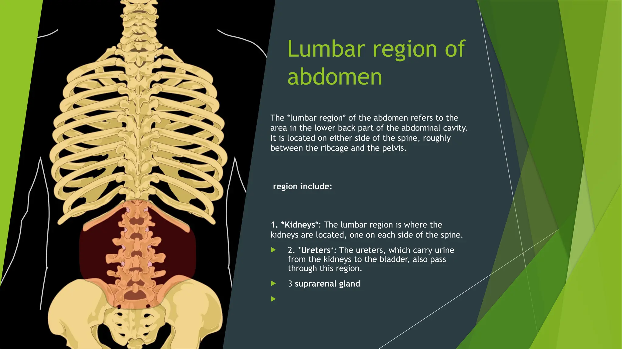 lumbar region - a d it's complications.pptx