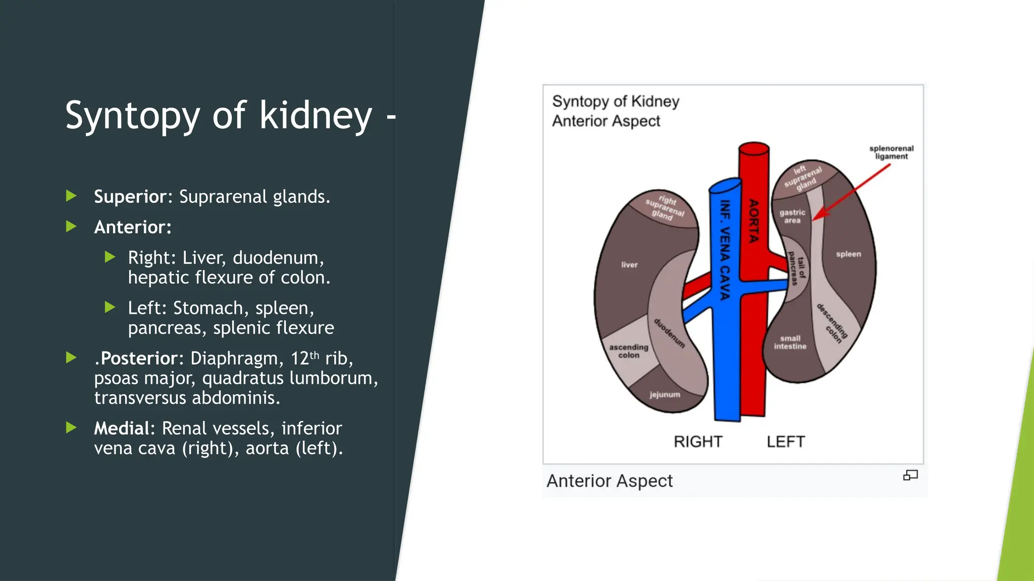 lumbar region - a d it's complications.pptx
