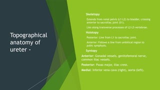 lumbar region - a d it's complications.pptx