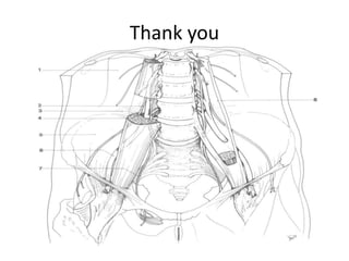 Lumbar+ Sacral Plexus Block.ppt