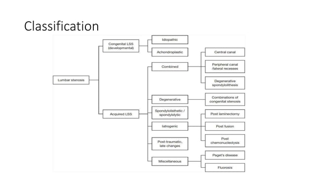Lumbar spinal stenosis | PPTX | Physical Therapy | Wellness