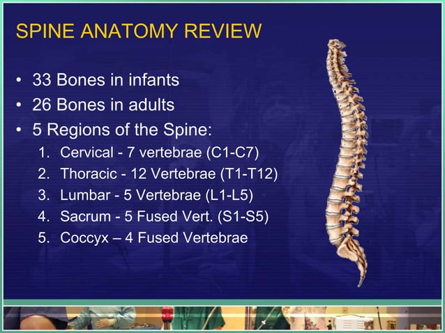 Lumbar spinal stenosis, laminectomy, prolapsed intervertebral disc ...