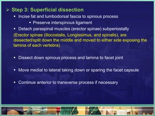 Lumbar spinal stenosis, laminectomy, prolapsed intervertebral disc | PPTX