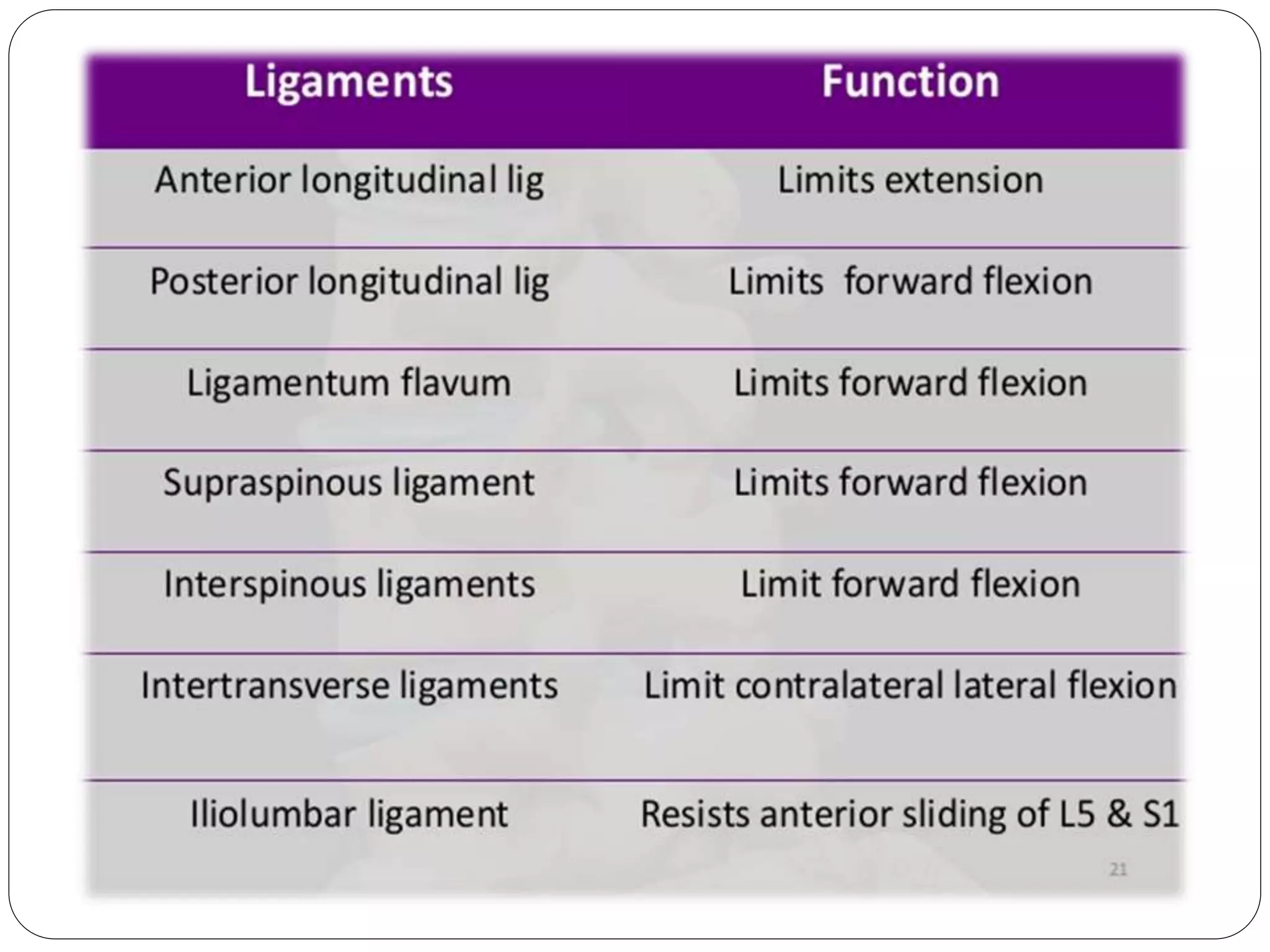 Anatomy and biomechanics of lumbar spine | PPTX