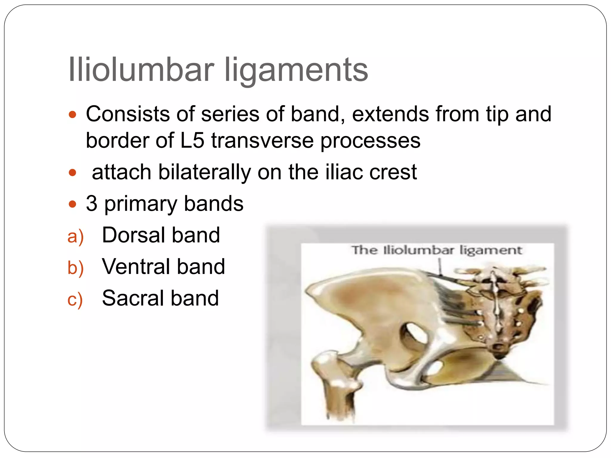 Anatomy and biomechanics of lumbar spine | PPTX