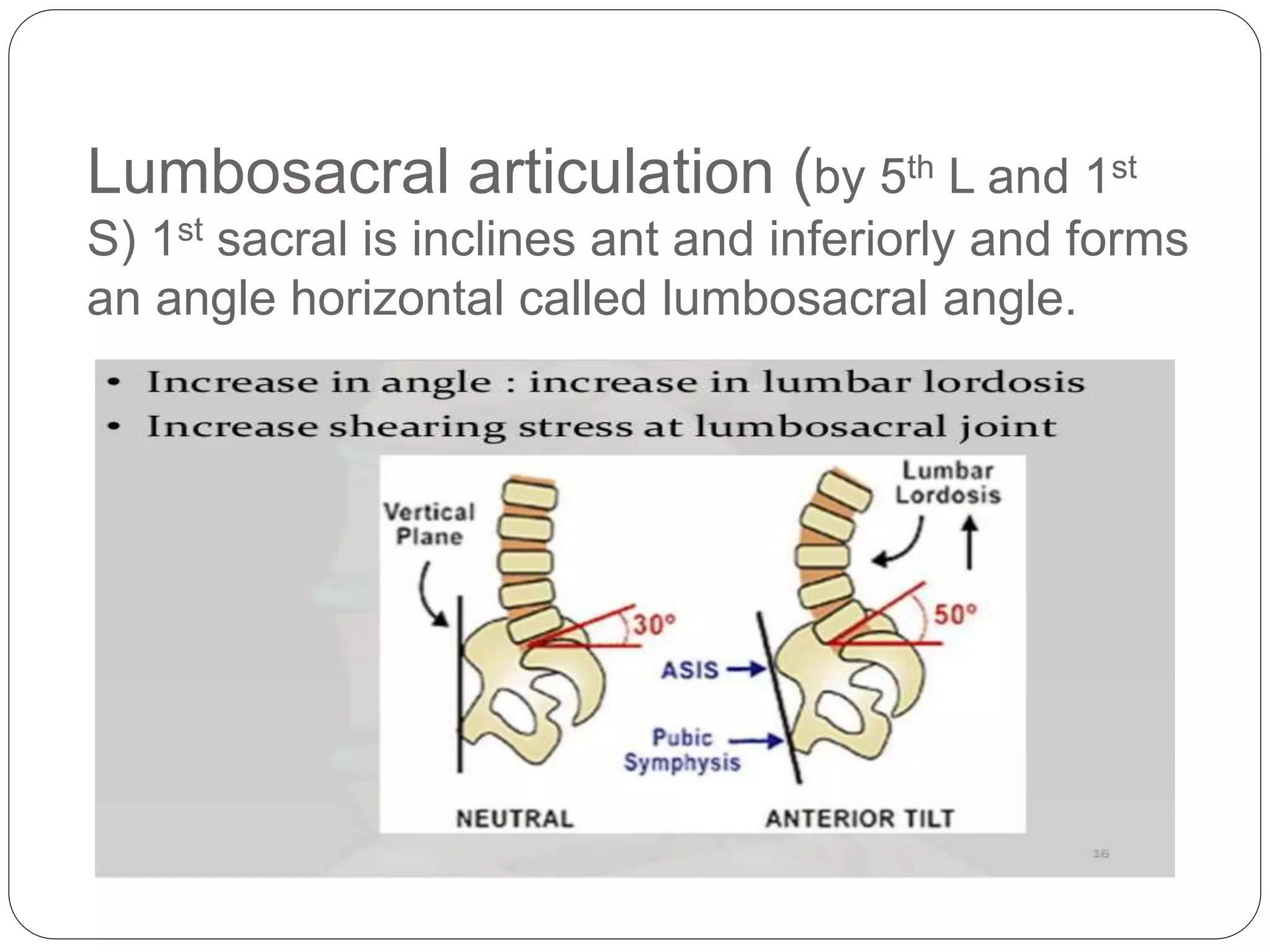 Anatomy and biomechanics of lumbar spine | PPTX