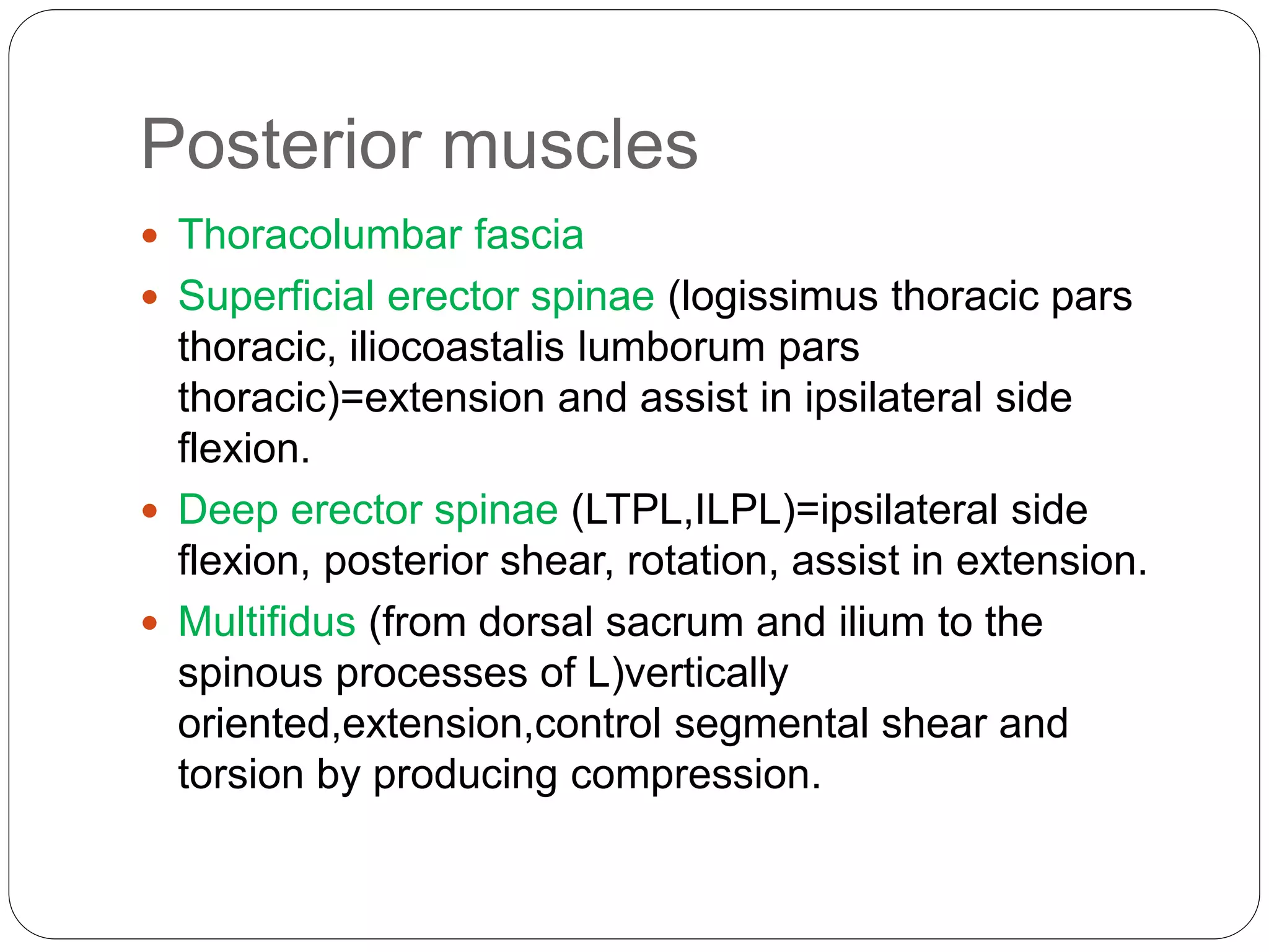 Anatomy and biomechanics of lumbar spine | PPTX