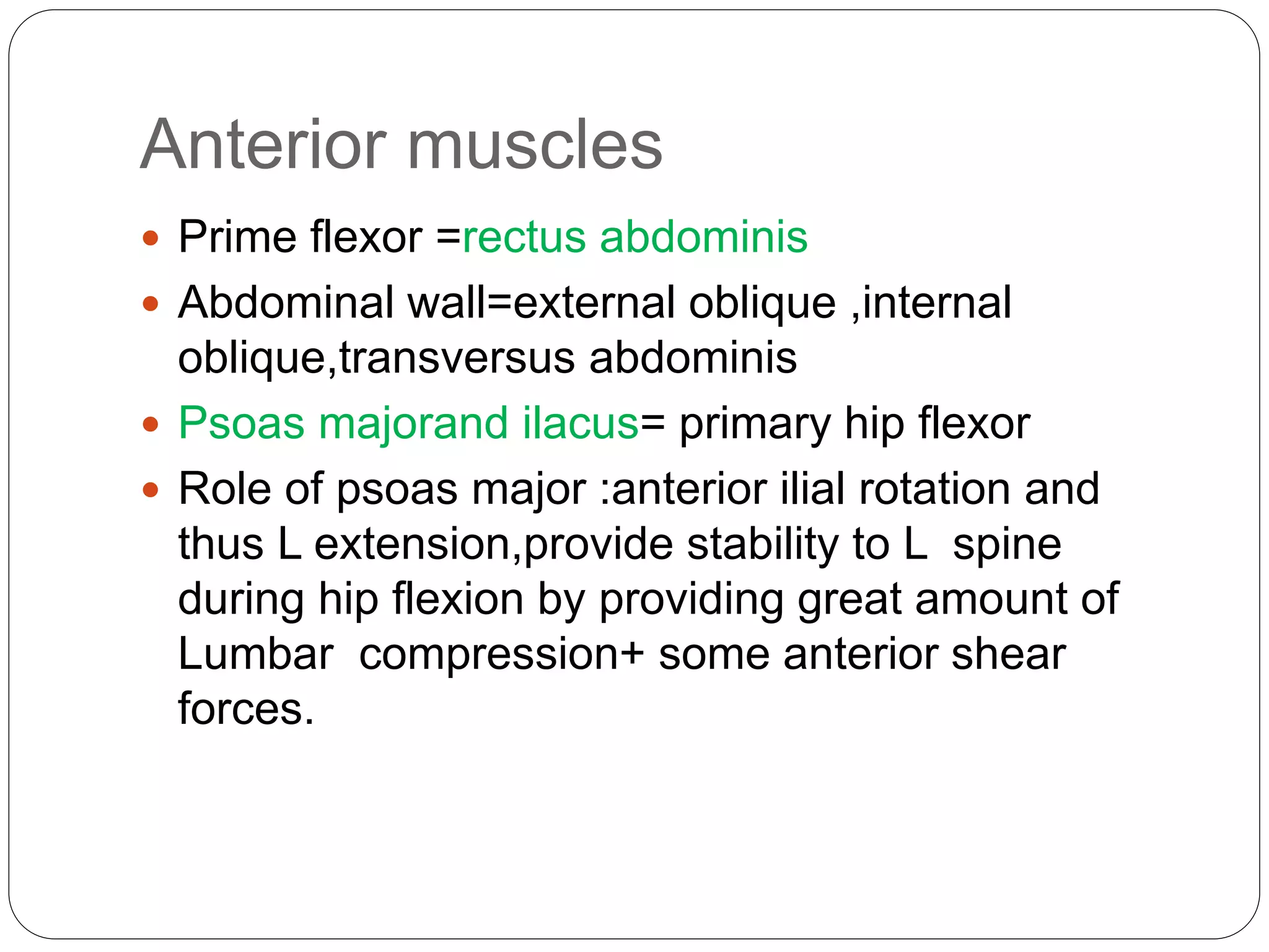 Anatomy and biomechanics of lumbar spine | PPTX