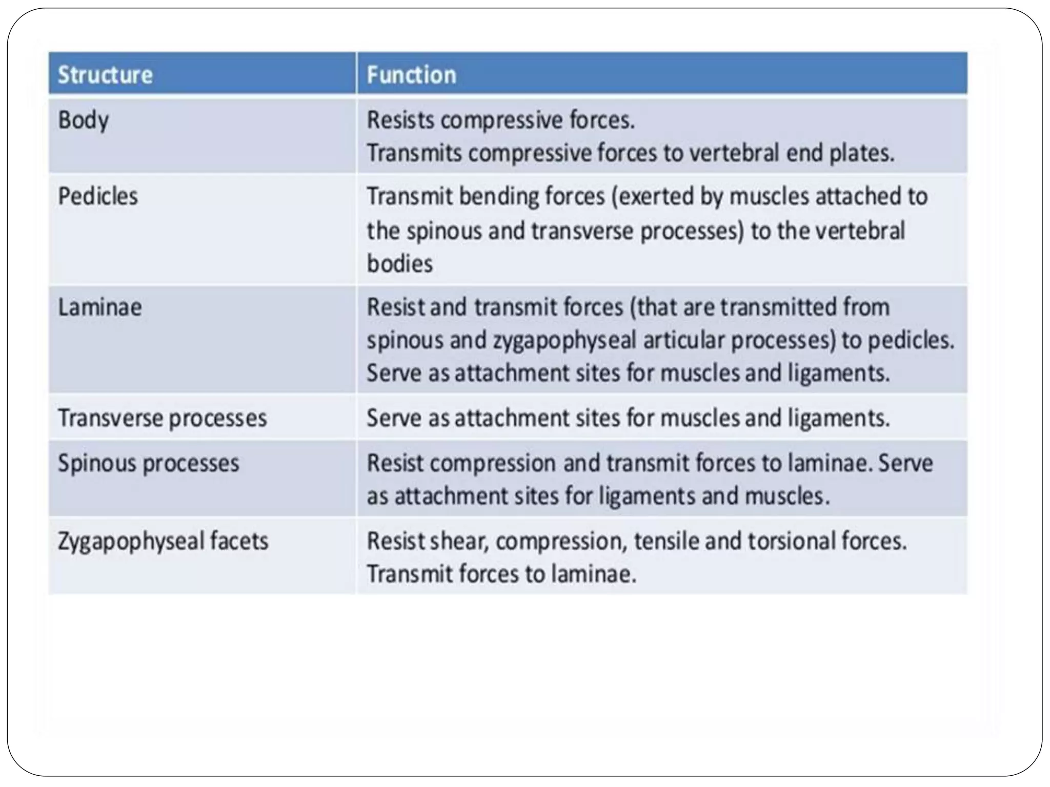 Anatomy and biomechanics of lumbar spine | PPTX