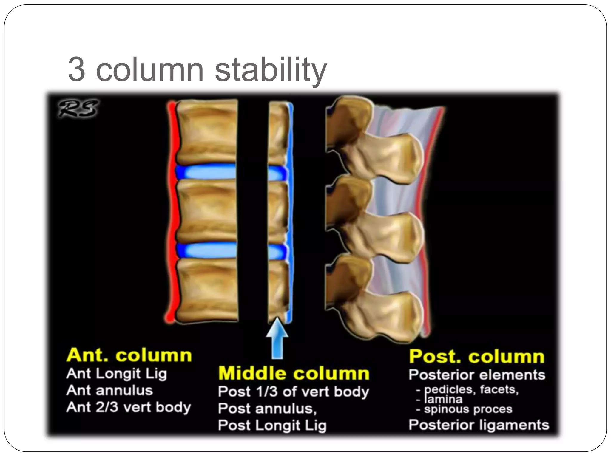 Anatomy and biomechanics of lumbar spine | PPTX