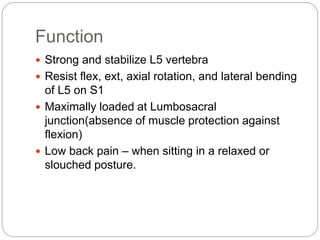Anatomy and biomechanics of lumbar spine | PPTX