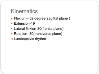 Anatomy and biomechanics of lumbar spine | PPTX