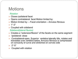 Anatomy and biomechanics of lumbar spine | PPTX
