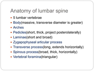 Anatomy and biomechanics of lumbar spine | PPTX