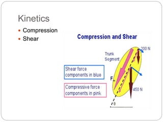 Anatomy and biomechanics of lumbar spine | PPTX
