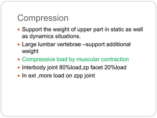 Anatomy and biomechanics of lumbar spine | PPTX