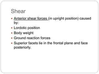 Anatomy and biomechanics of lumbar spine | PPTX