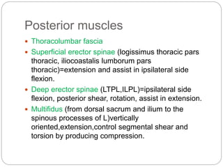 Anatomy and biomechanics of lumbar spine | PPTX