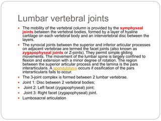 Anatomy and biomechanics of lumbar spine | PPTX