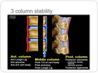 Anatomy and biomechanics of lumbar spine | PPTX