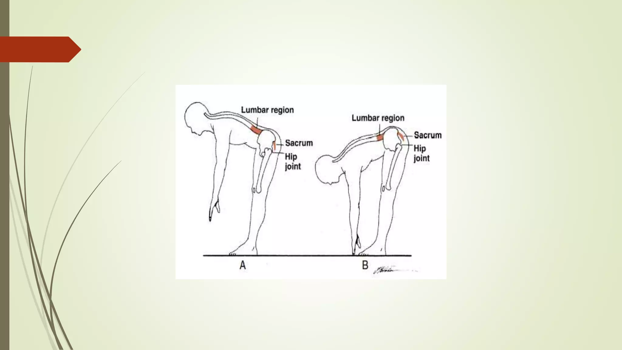 Biomechanics of Lumbar spine | PPTX