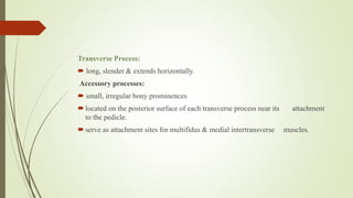Biomechanics of Lumbar spine | PPTX