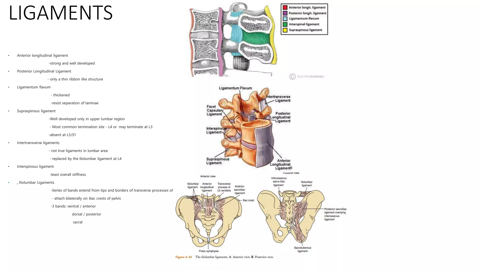 BIOMECHANICS OF LUMBAR SPINE | PPTX