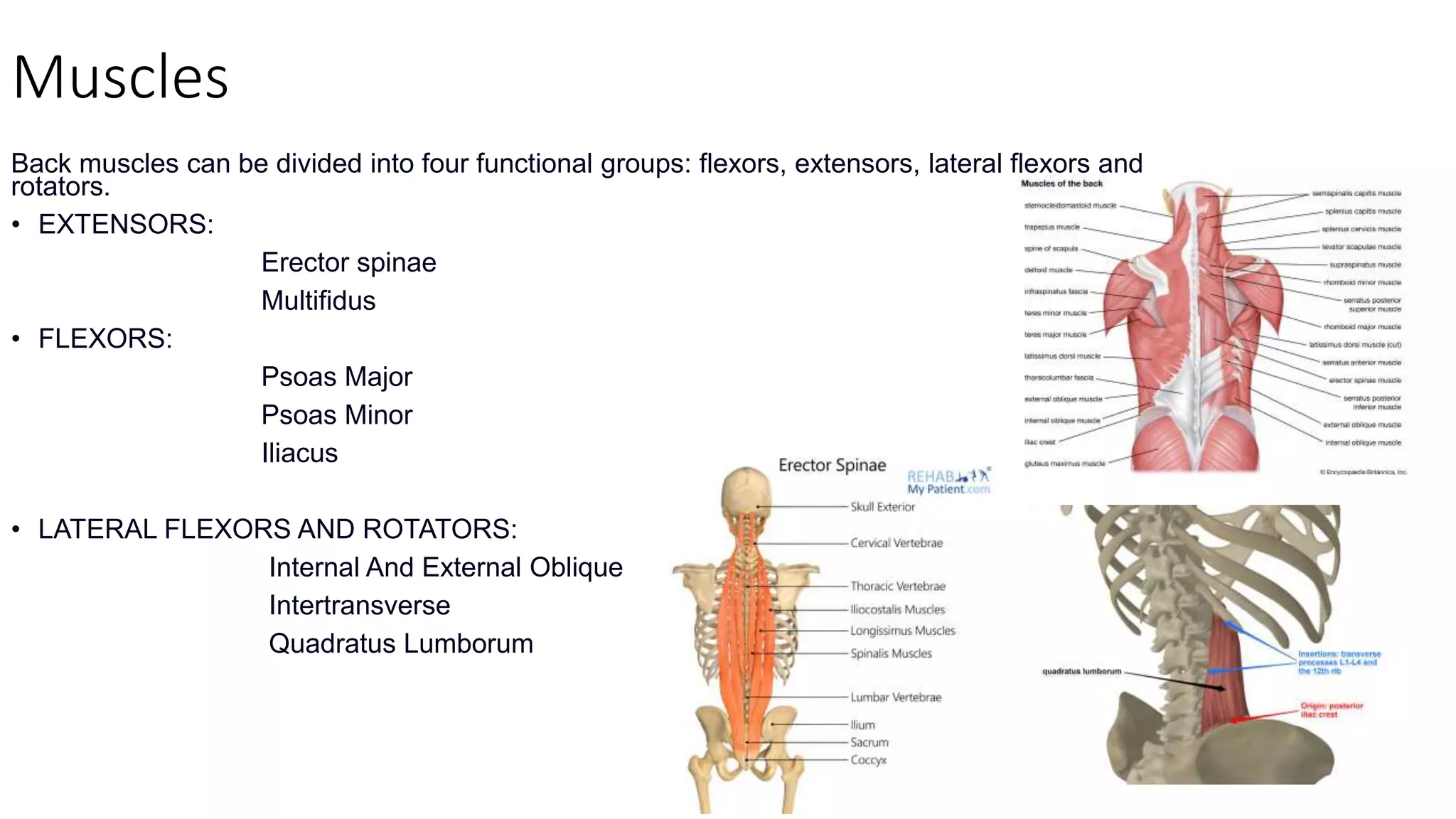 BIOMECHANICS OF LUMBAR SPINE | PPTX