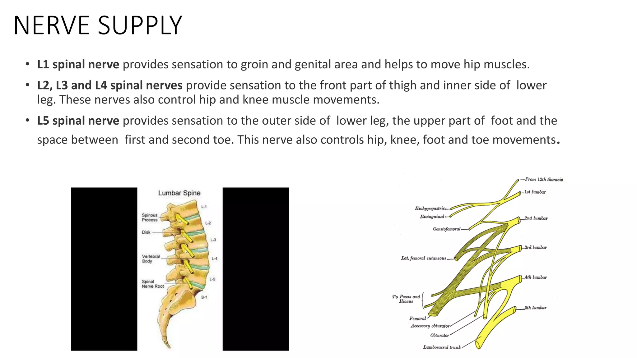BIOMECHANICS OF LUMBAR SPINE | PPTX