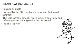 BIOMECHANICS OF LUMBAR SPINE | PPTX