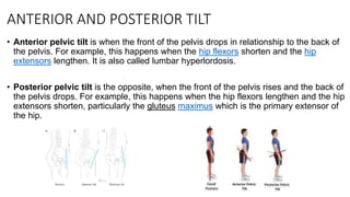 BIOMECHANICS OF LUMBAR SPINE | PPTX