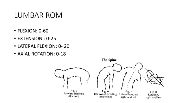 BIOMECHANICS OF LUMBAR SPINE | PPTX